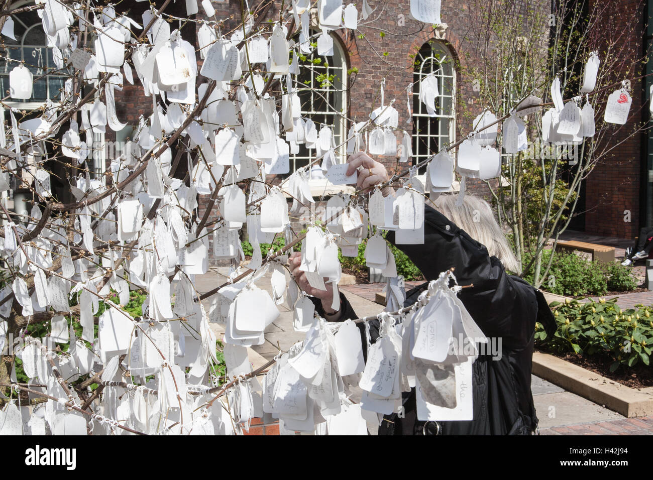 Wishing Tree by Yoko Ono inspired by Japan in Courtyard of The Bluecoat ...