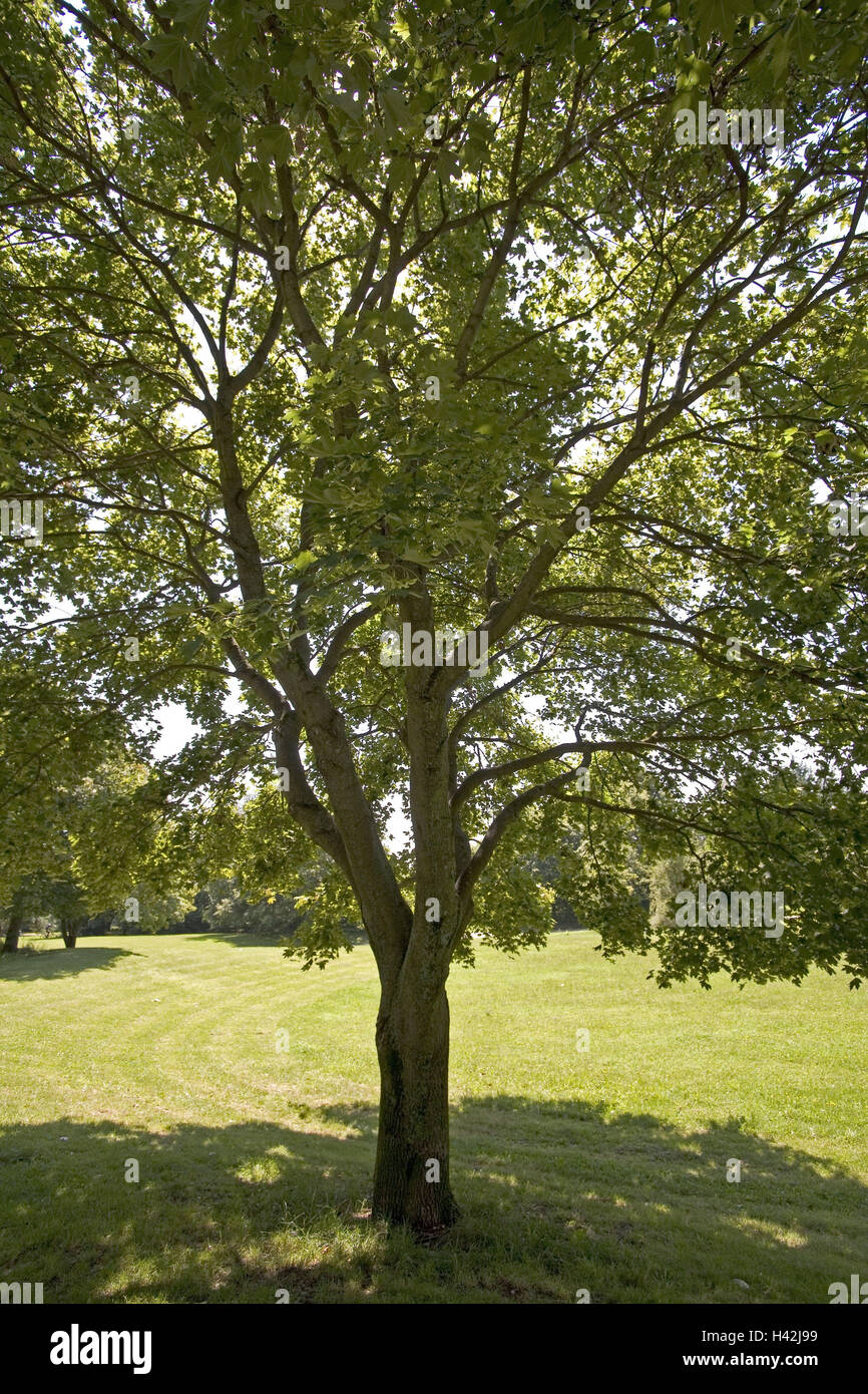 Sun and shade hi-res stock photography and images - Alamy