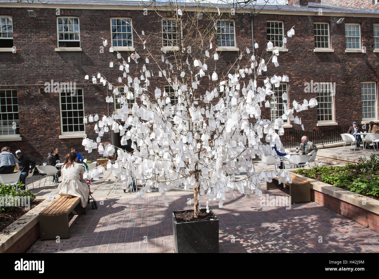 Wishing Tree by Yoko Ono inspired by Japan in Courtyard of The Bluecoat ...