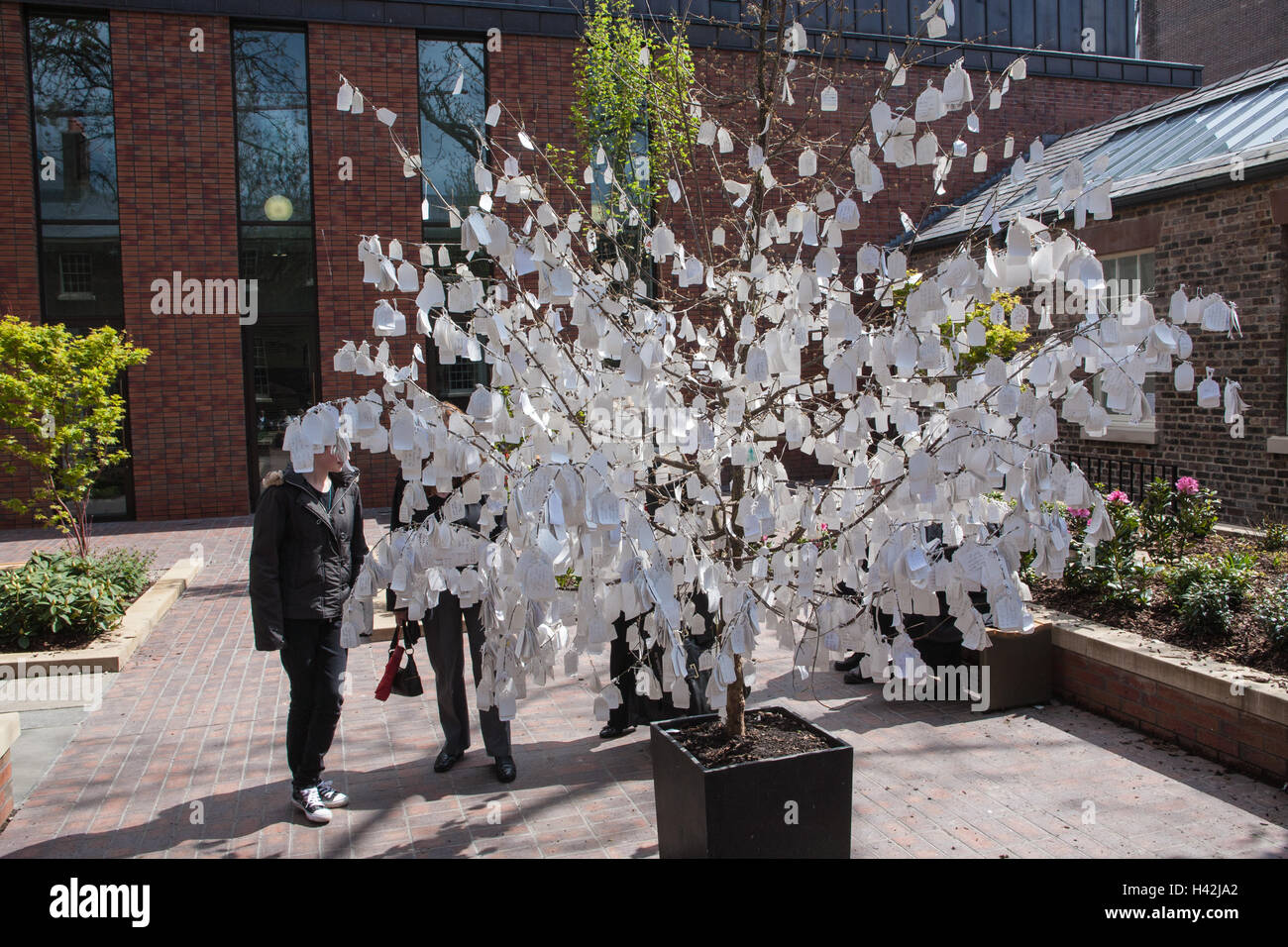 Wishing Tree by Yoko Ono inspired by Japan in Courtyard of The Bluecoat ...