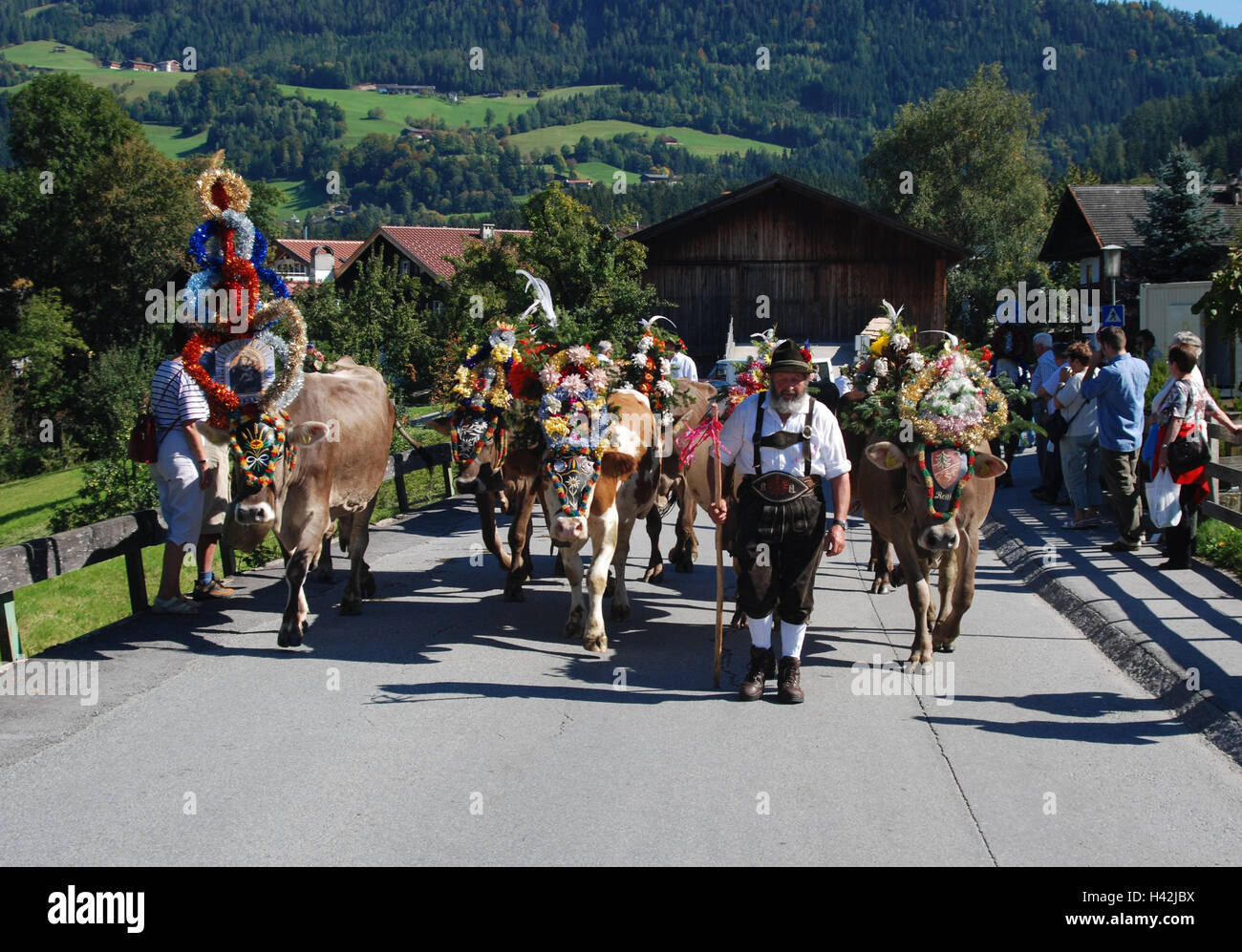 Austria, Tyrol, Zillertal, Reith in the alp brook valley, Almabtrieb ...