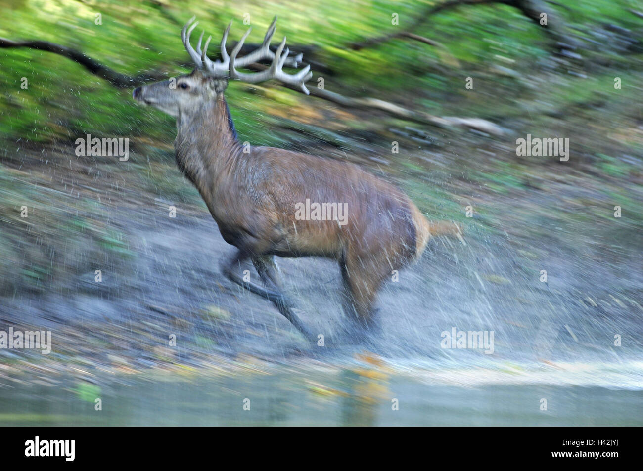 Run away briefly hi-res stock photography and images - Alamy
