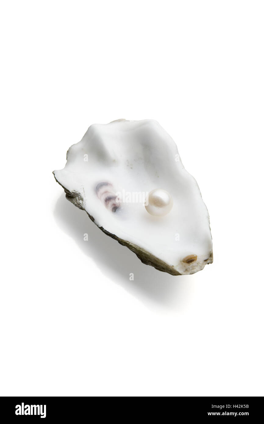 Oyster Pearl Culture High Resolution Stock Photography and Images - Alamy