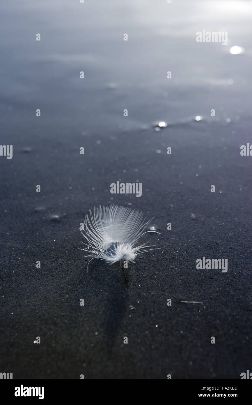 Coast, beach, Sand, feather Stock Photo - Alamy