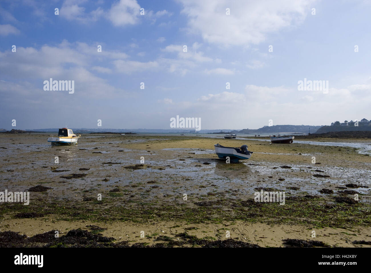 France, Brittany, Finistere, Carantec, Ile de cal perpendicular, the ...