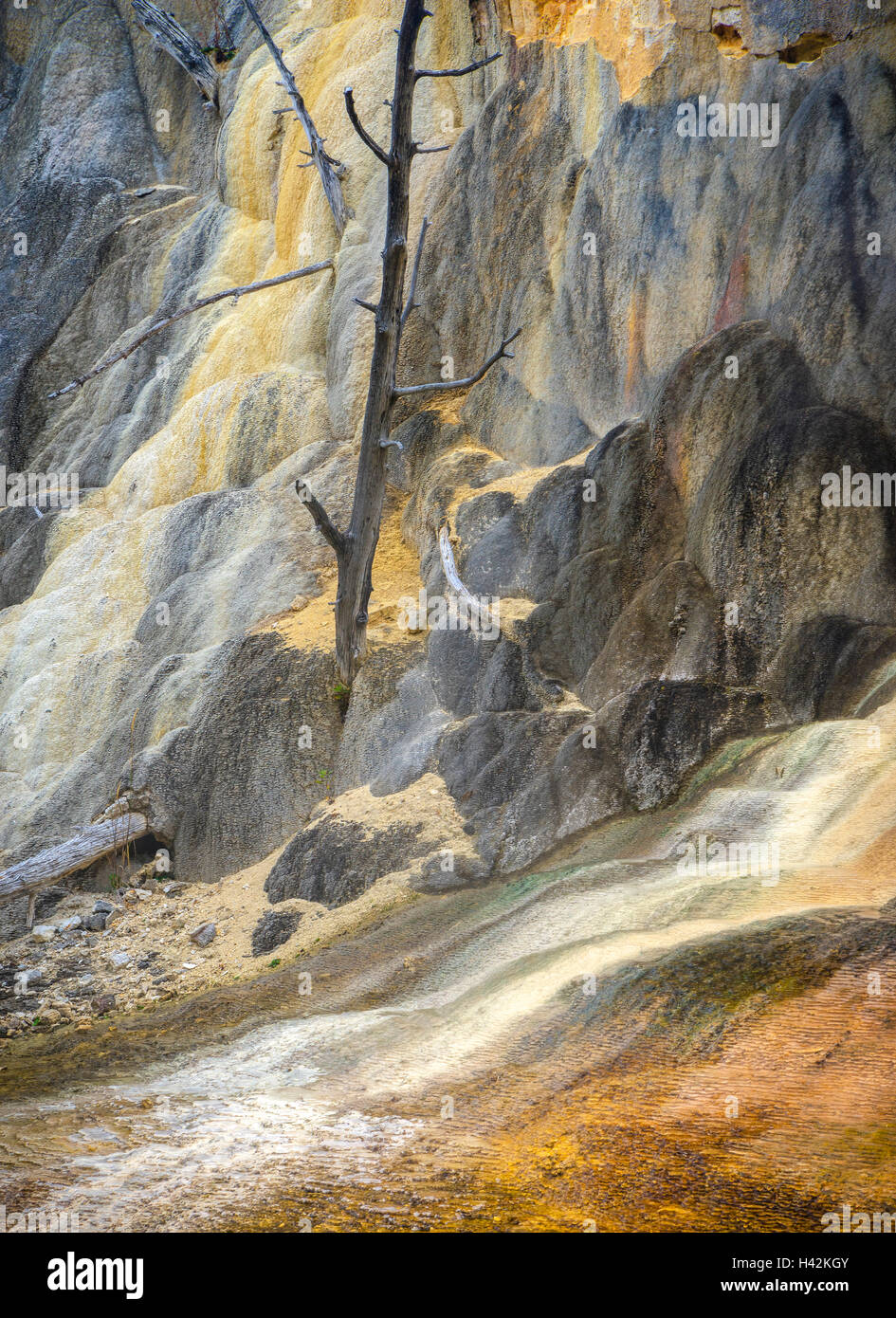 Yellowstone National Park, Wyoming: Detail of travertine patterns on ...