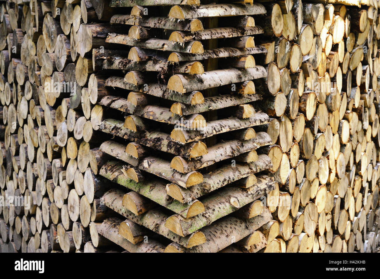 Ster wood hi-res stock photography and images - Alamy