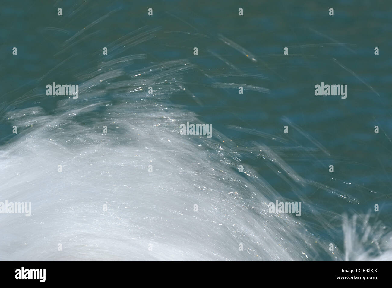 Waterfall, close up Stock Photo - Alamy