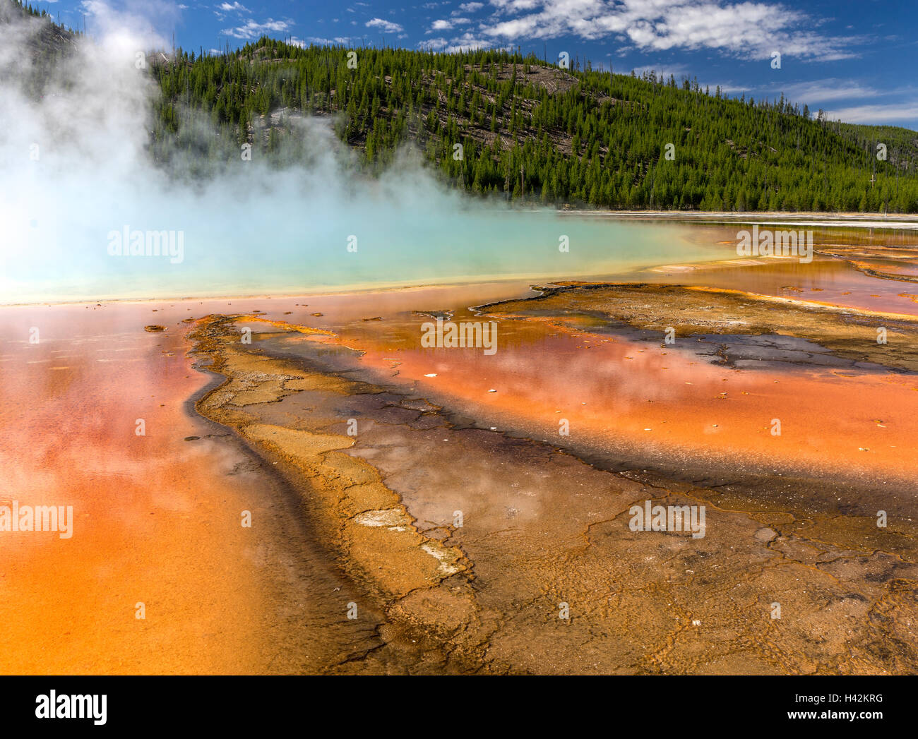 Yellowstone grand prismatic spring hi-res stock photography and images ...