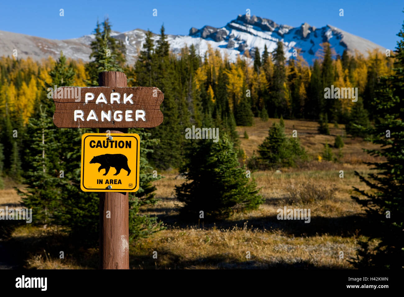 Alberta, Mt. Assiniboine Provincial park, forest, danger sign, danger ...
