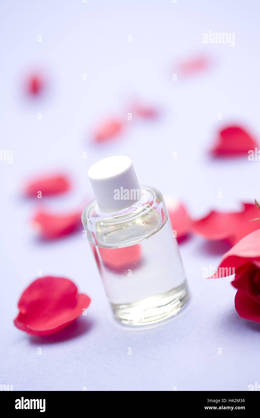 Perfume studio hi-res stock photography and images - Alamy