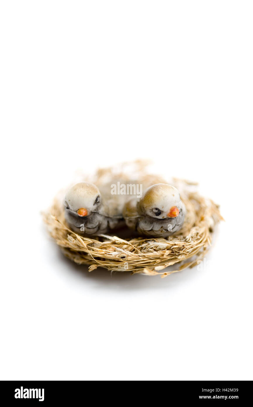 Two young in nest hi-res stock photography and images - Alamy