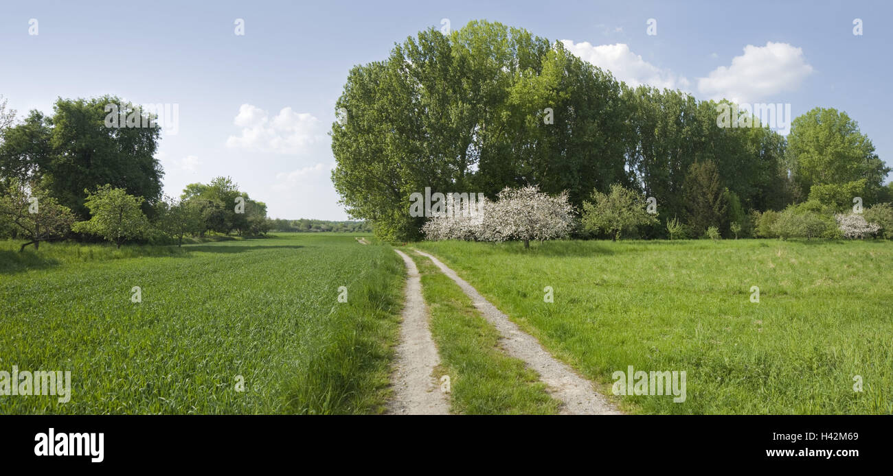 Country lane, spring Stock Photo - Alamy