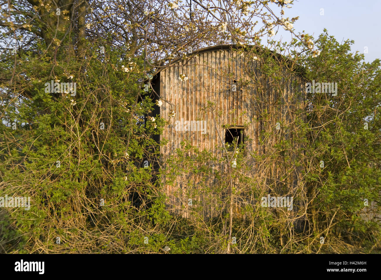 Quonset hut hi-res stock photography and images - Alamy