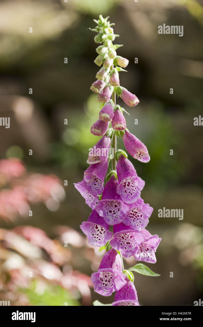 Rope thimble hi-res stock photography and images - Alamy