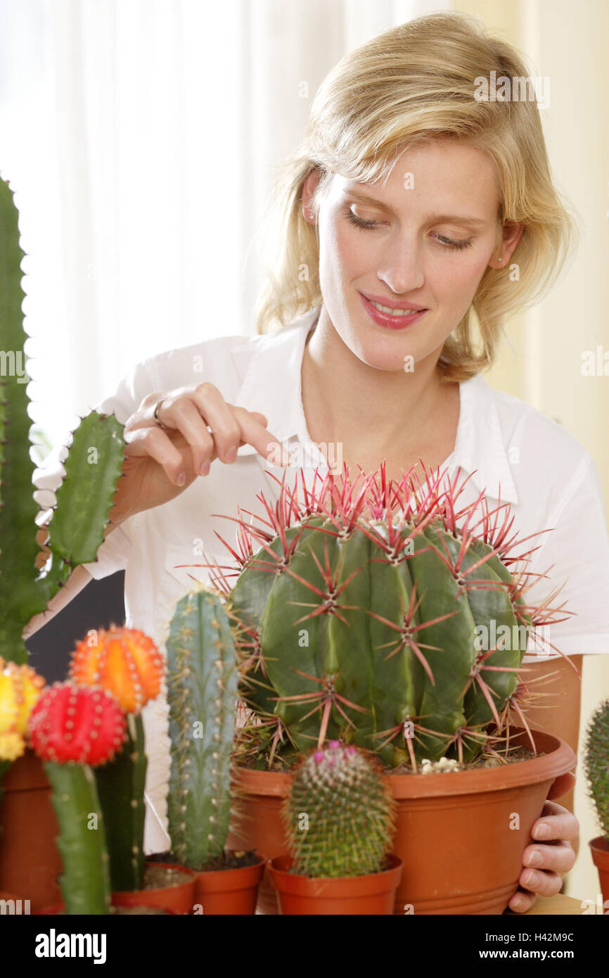 Woman, young, houseplants, cactuses, barrel cactus, Ferocactus, touches ...