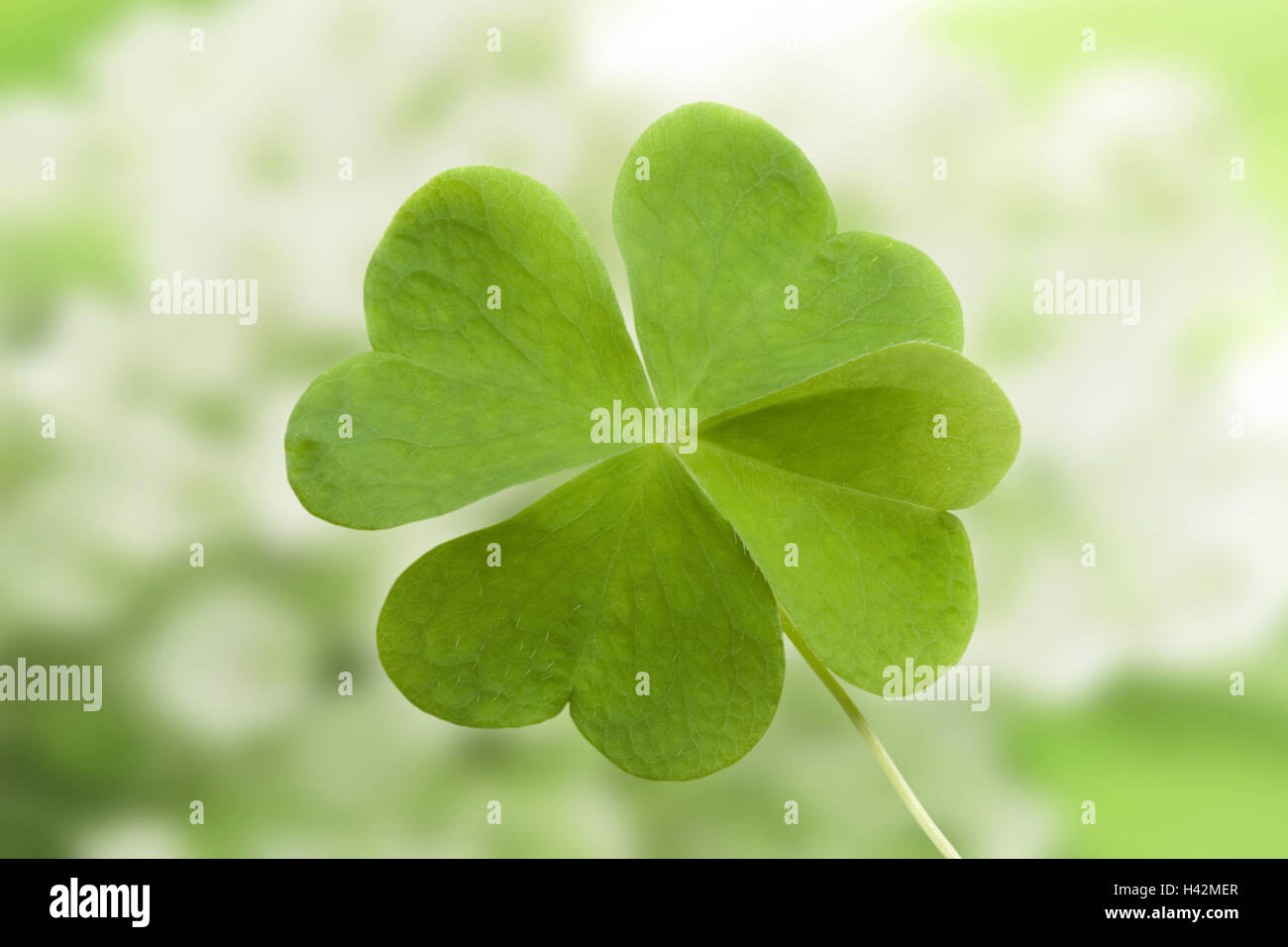 Luck symbol hi-res stock photography and images - Alamy