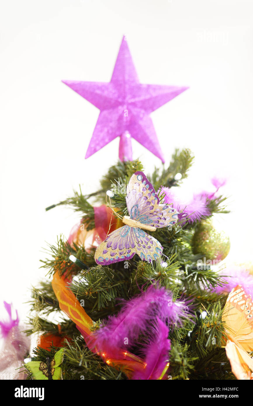 Christmas tree, tree jewellery, brightly, detail, tree point, Christmas ...