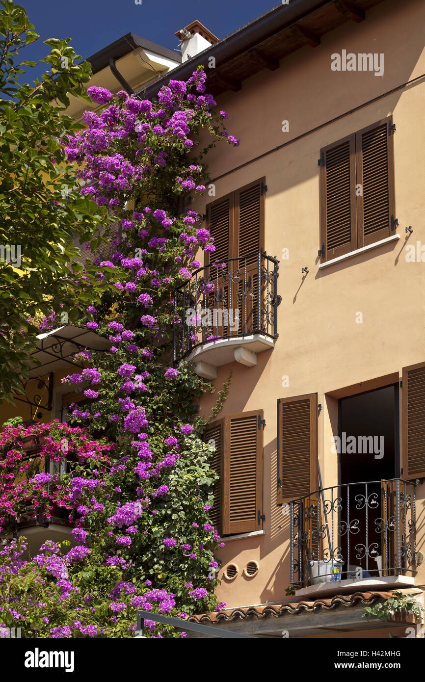 Balcony old italian house flowers hi-res stock photography and images ...