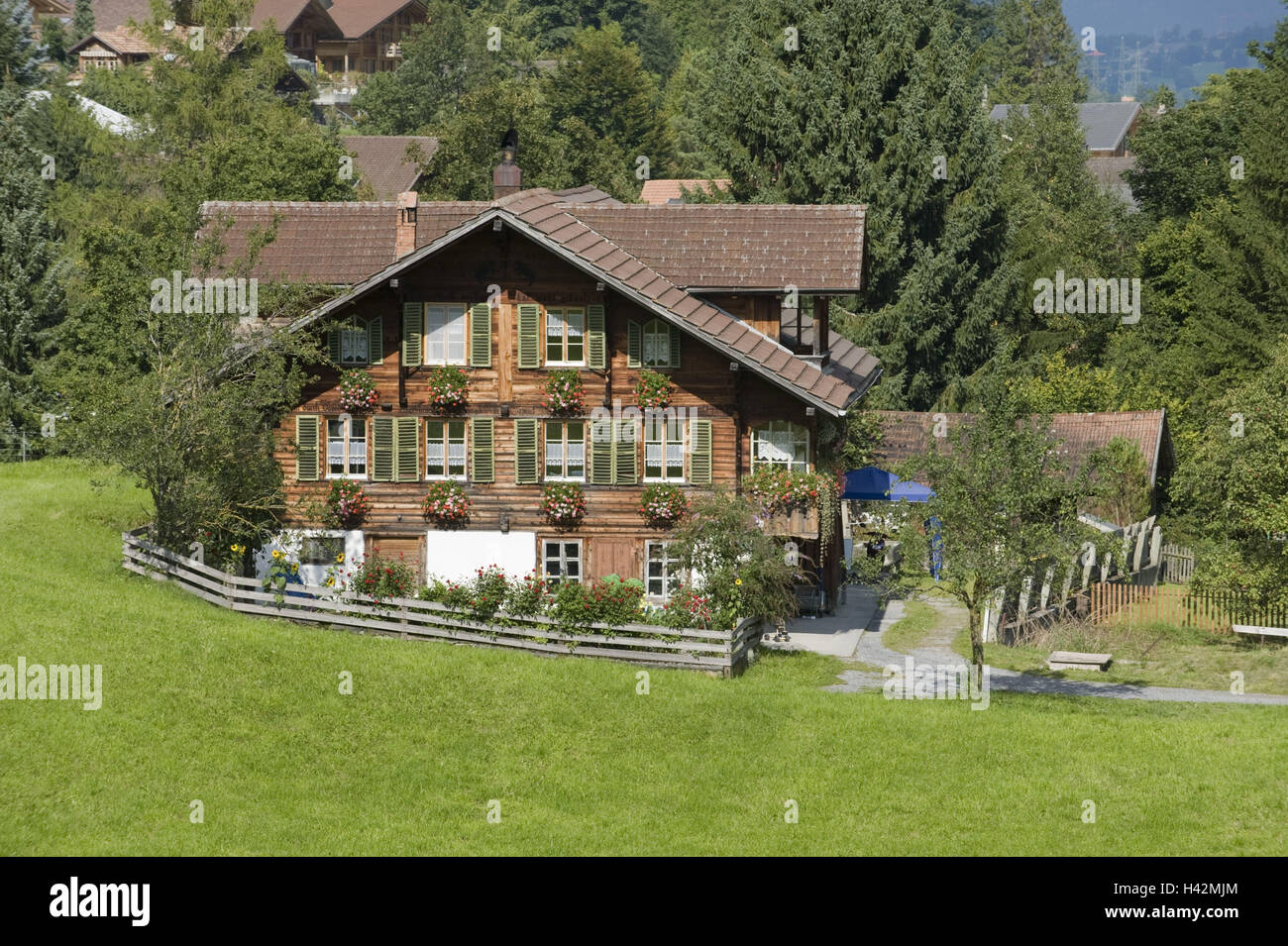 Switzerland, the Bernese Oberland, farmhouse, summer Stock Photo - Alamy
