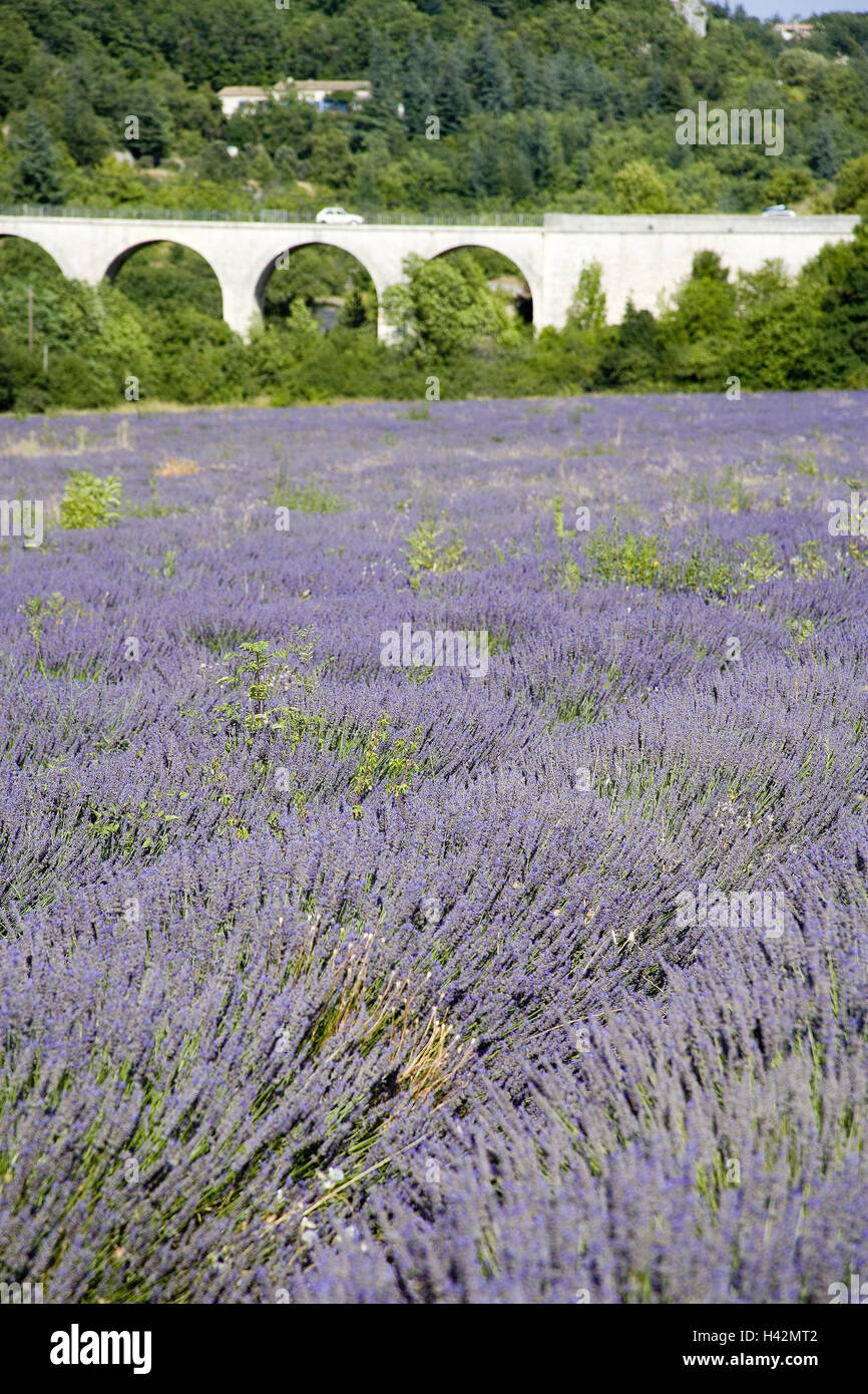 Sault en vaucluse hi-res stock photography and images - Alamy