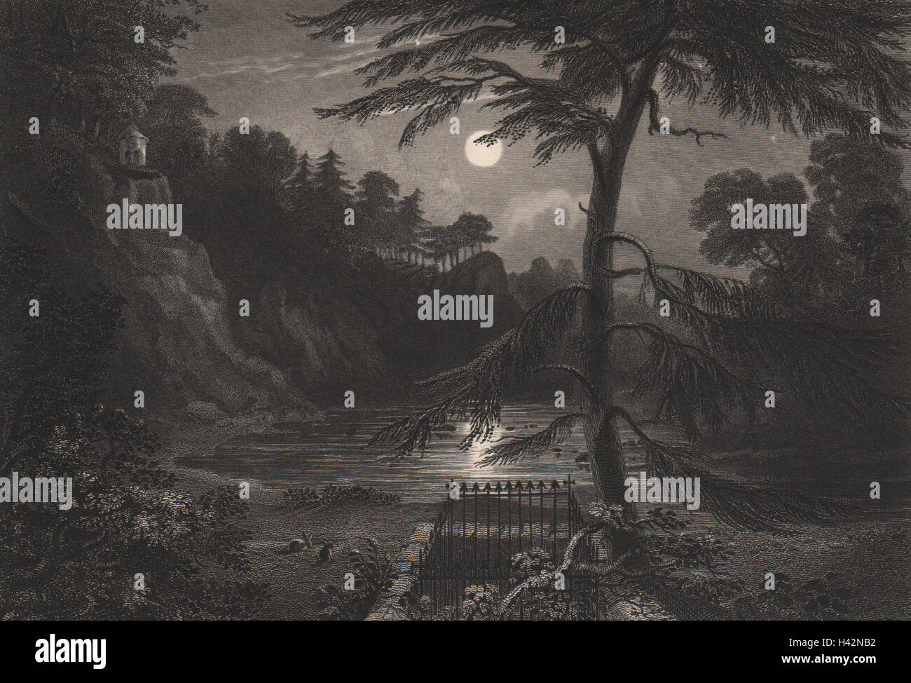 Bessy bell hi-res stock photography and images - Alamy