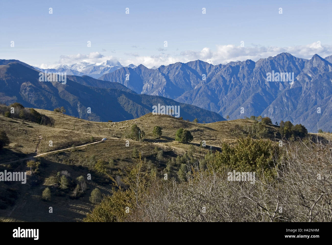 Italy, Piedmont, Monte Mottarone, summit, 1491 m, environment, Alpine ...