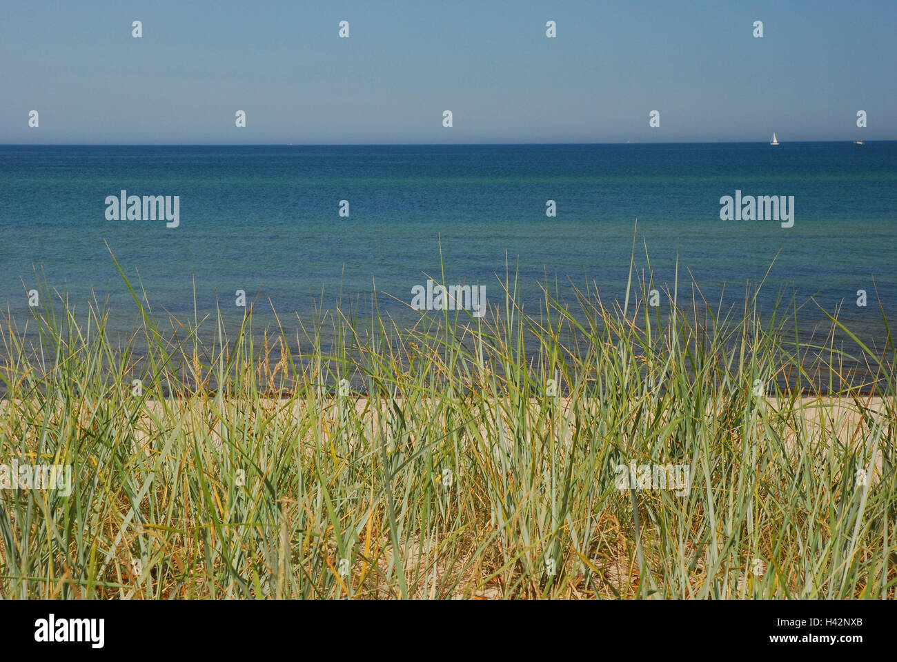 Germany, Mecklenburg-West Pomerania, Fischland-Darß-Zingst, Prerow ...