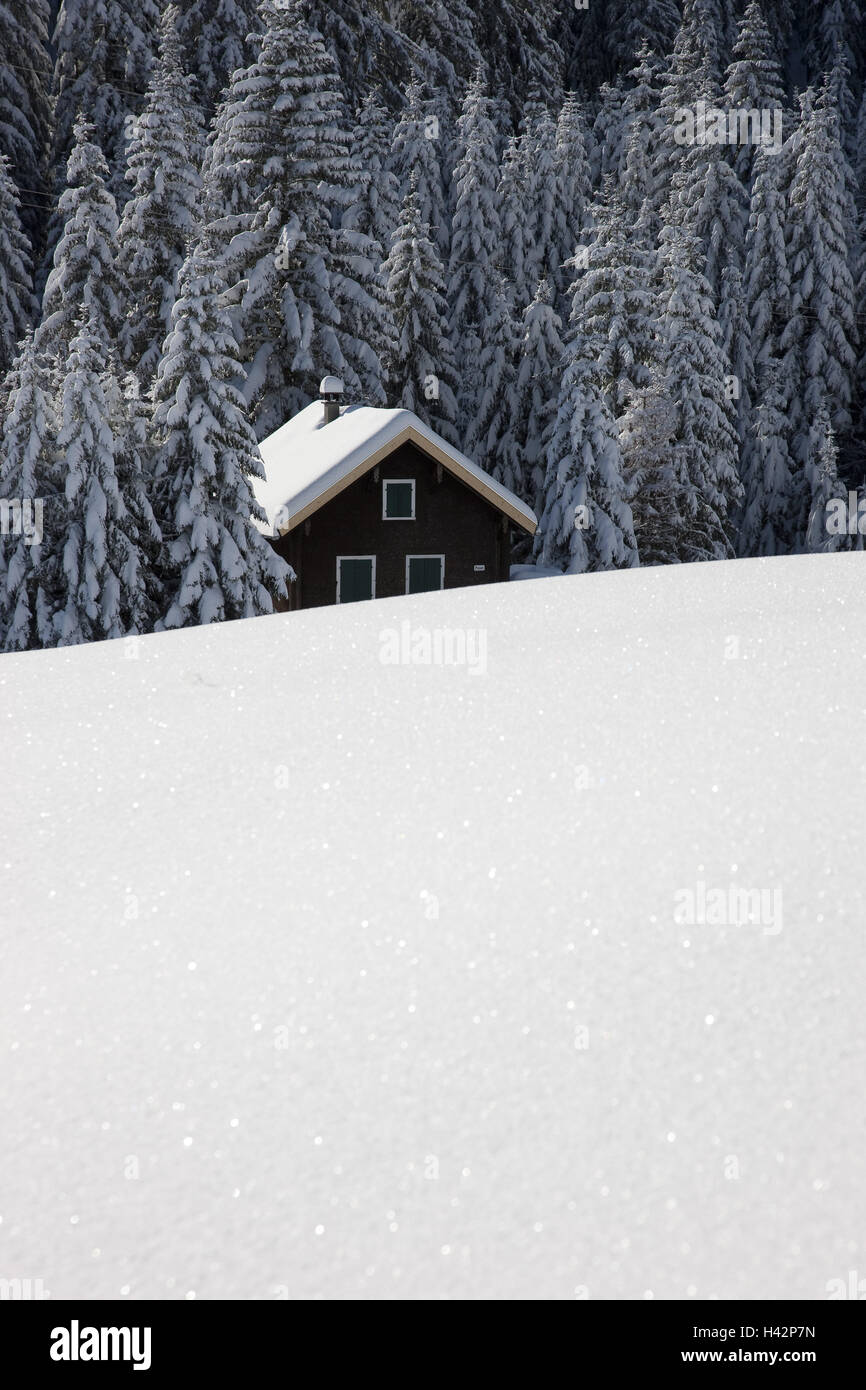 Austria, Vorarlberg, Hohenems, winter, wood, hut, Austria, Hohenems ...