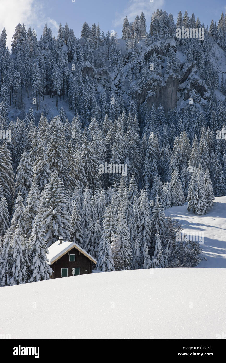 Austria, Vorarlberg, Hohenems, winter, forest, huts Stock Photo - Alamy