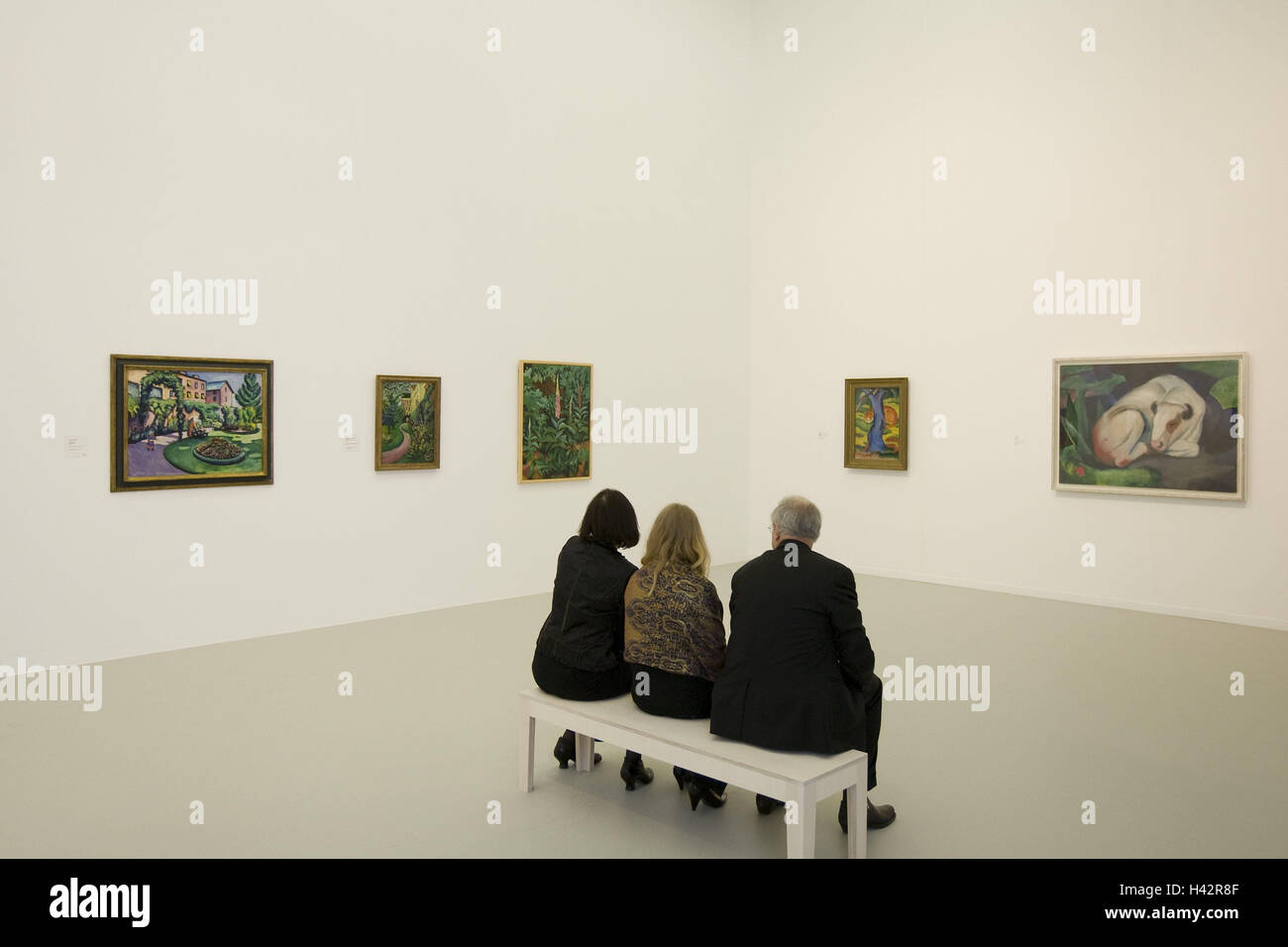 Museum, inside, visitors, wooden bank, sit, rest back view, no model ...