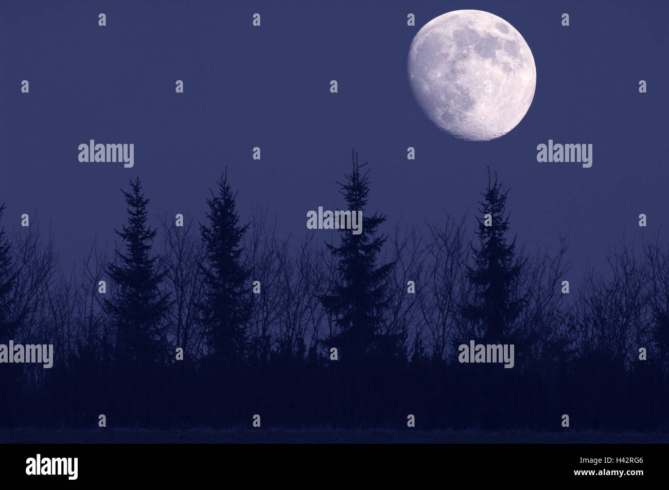 Moon and forest hi-res stock photography and images - Alamy