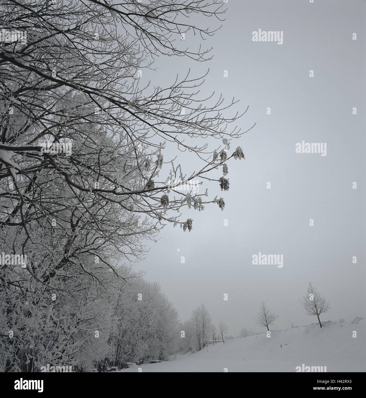 Austria, Upper Austria, Salzkammergut, Ager, winter scenery, winter ...