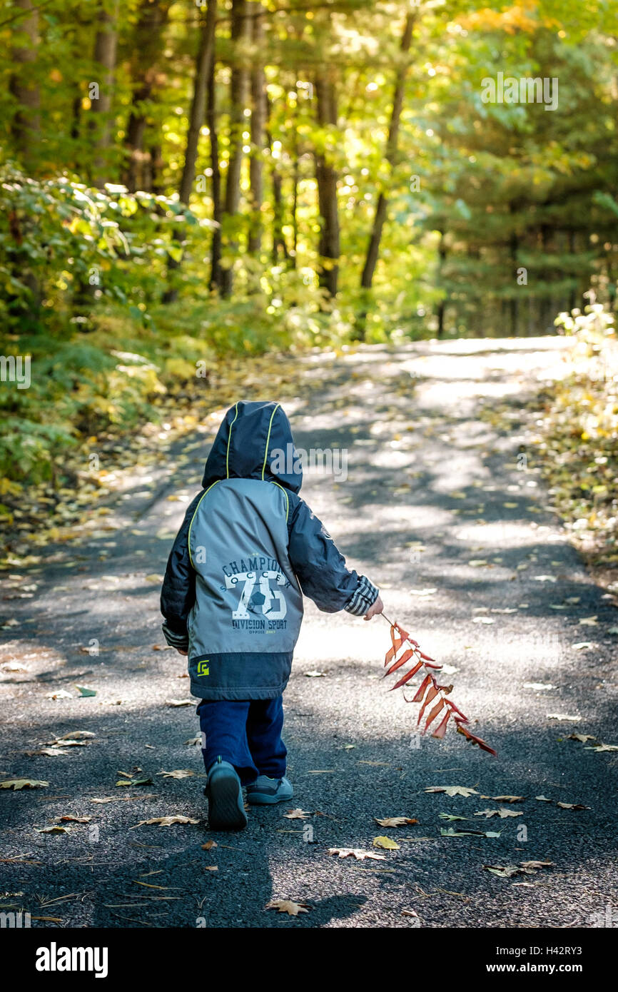 Kid walking in the forest at fall Stock Photo - Alamy