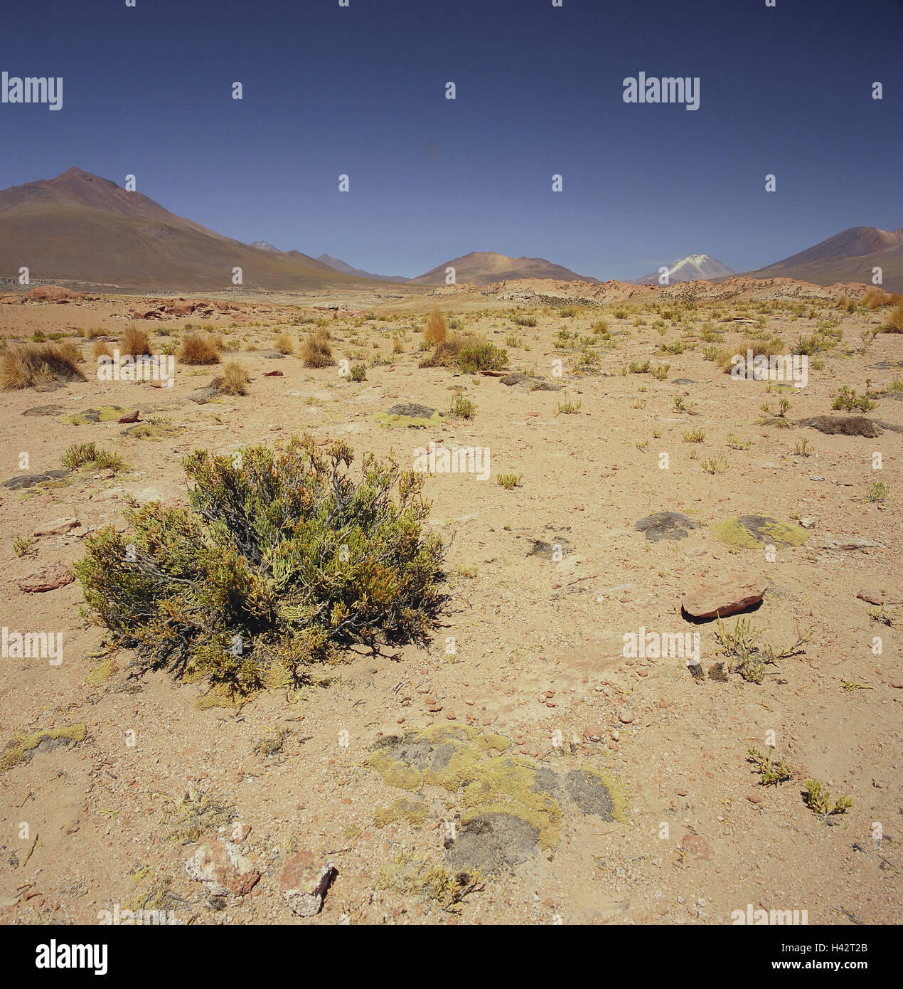 Reserva nacional eduardo avaroa hi-res stock photography and images - Alamy