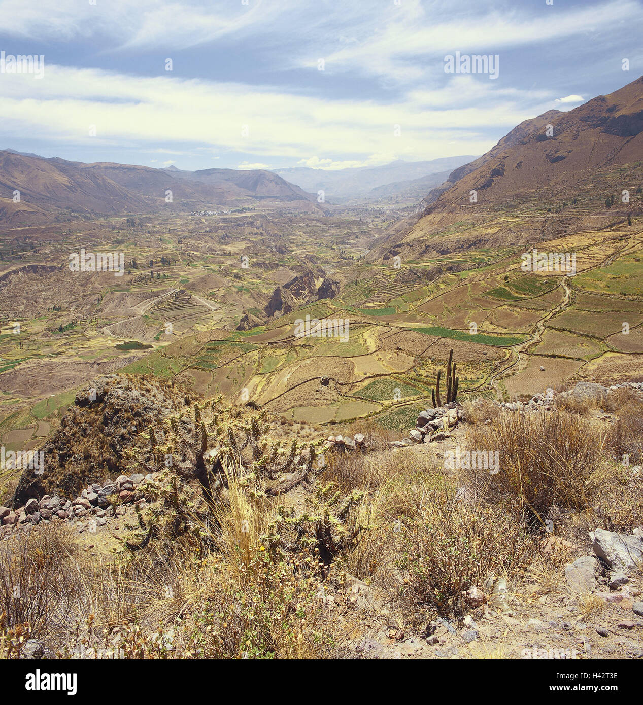 Peru, Canon de Colca, view, terrace fields, South America, destination ...