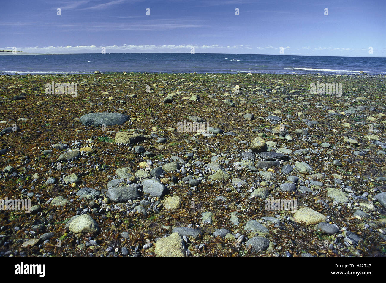 Chile, Patagonia, Punta Delgada, the Strait Magellan, beach, coast ...