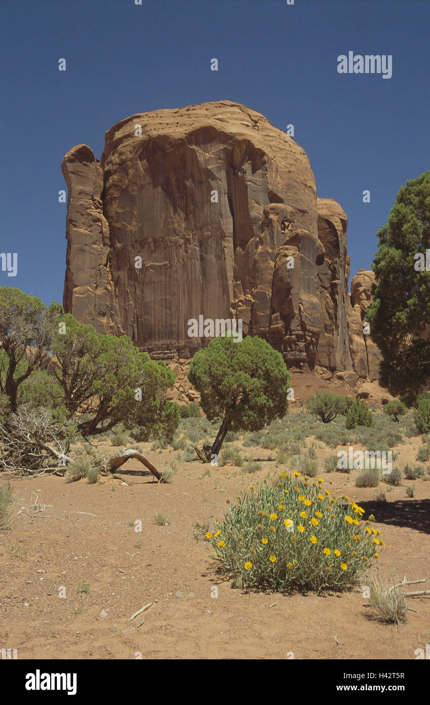 The USA, Utah, Arizona, monument Valley, bile formation, North America ...
