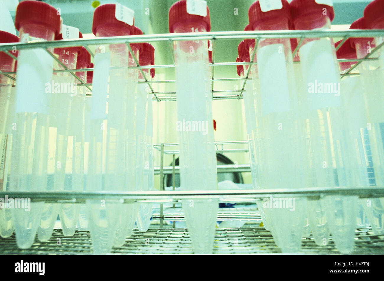Plastic tubes, detail, metal rack, plastic tube, specimens, test series ...