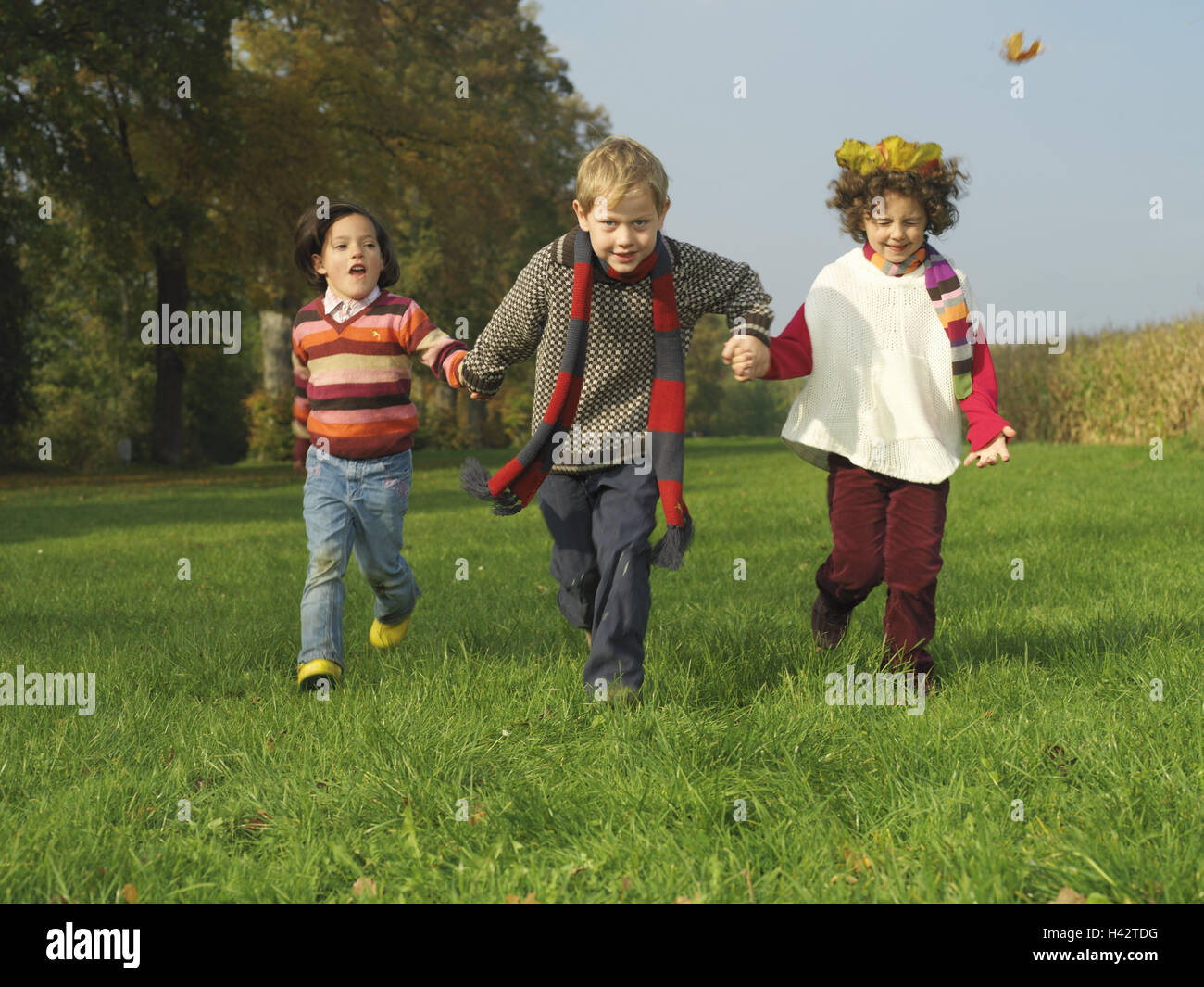 Hand hold crown hi-res stock photography and images - Alamy