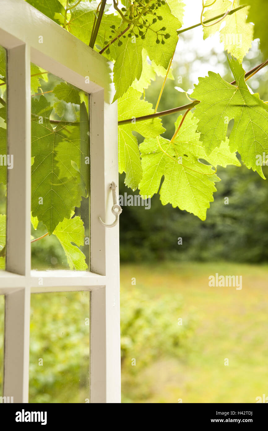 Window, open, garden Stock Photo - Alamy