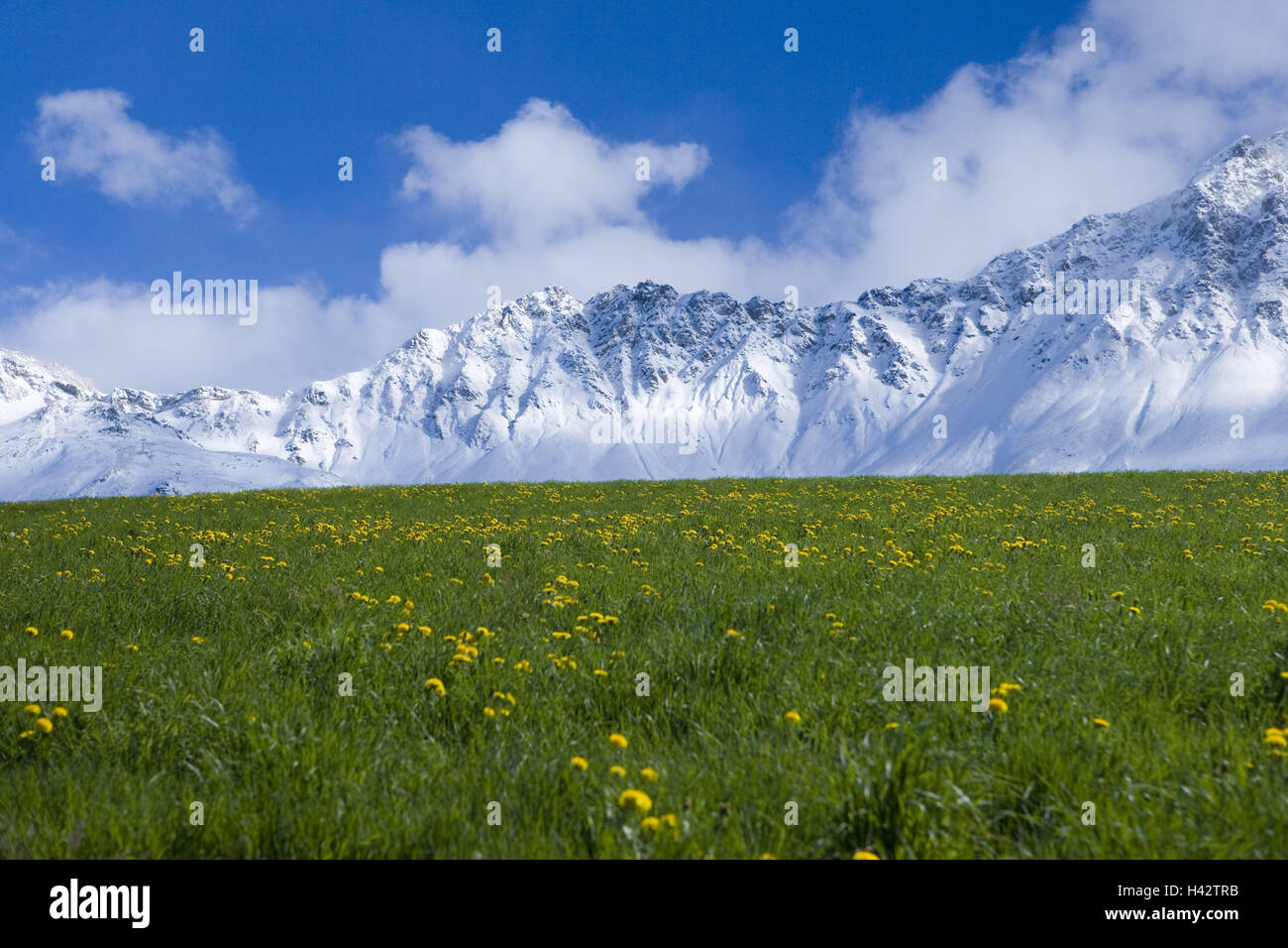 Switzerland season spring hi-res stock photography and images - Alamy