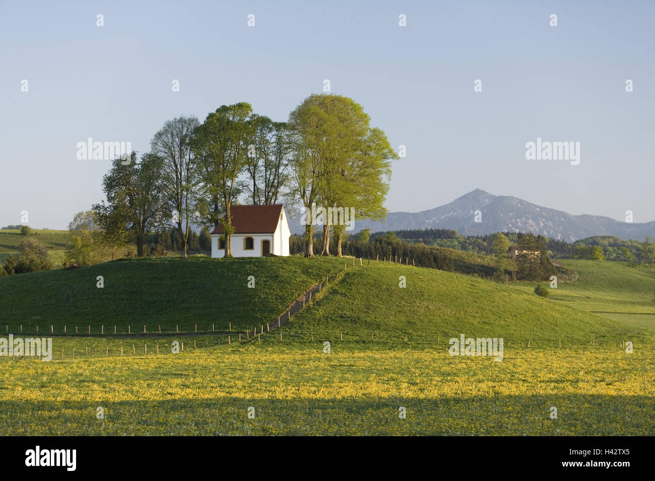 Germany, Upper Bavaria, village Ant, hill scenery, band, spring, South ...
