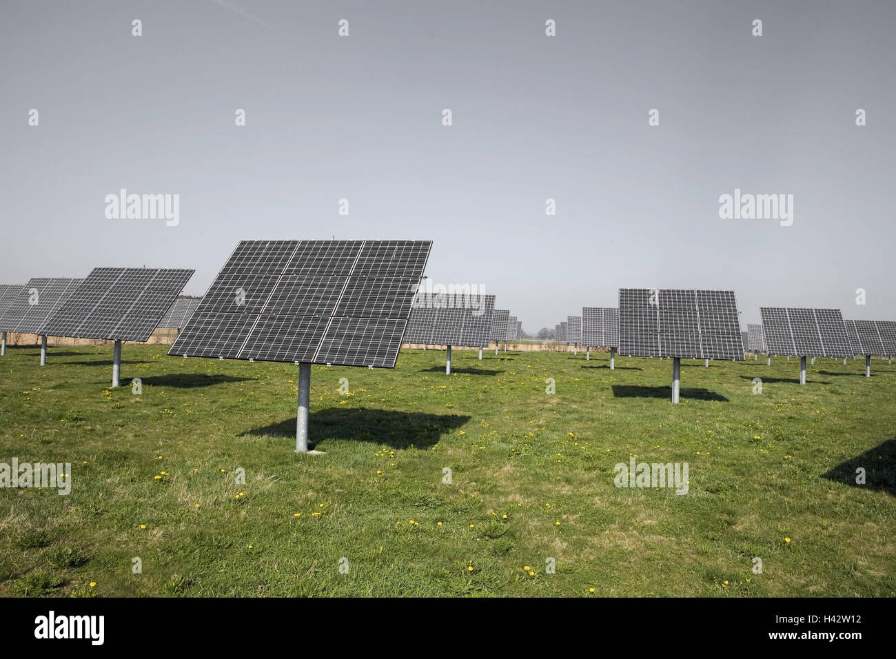 Meadow, solar collectors Stock Photo - Alamy