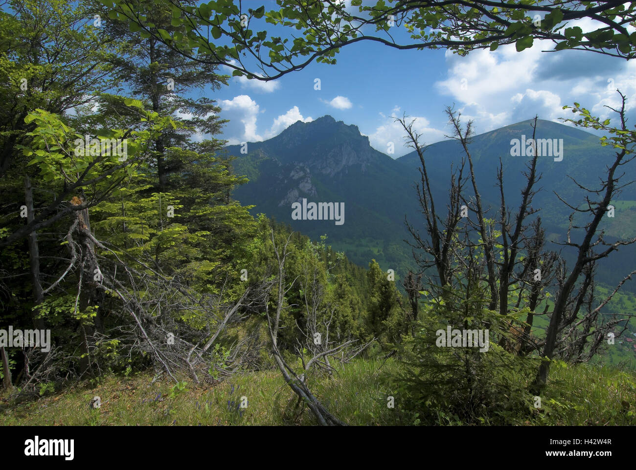 Mountain landscape, the low Tatra Mountains, mountain Boboty, Stefanova ...