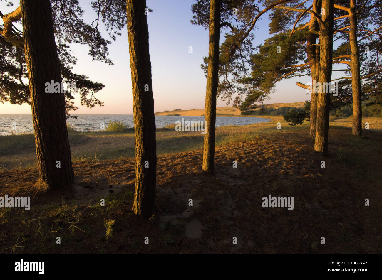 Jaws beach hi-res stock photography and images - Alamy