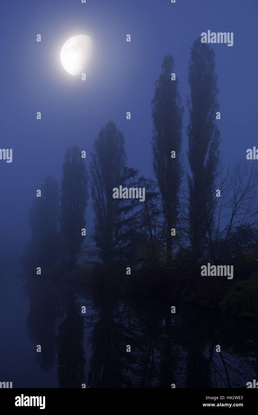 River scenery, trees, moon, fog, (M Stock Photo - Alamy