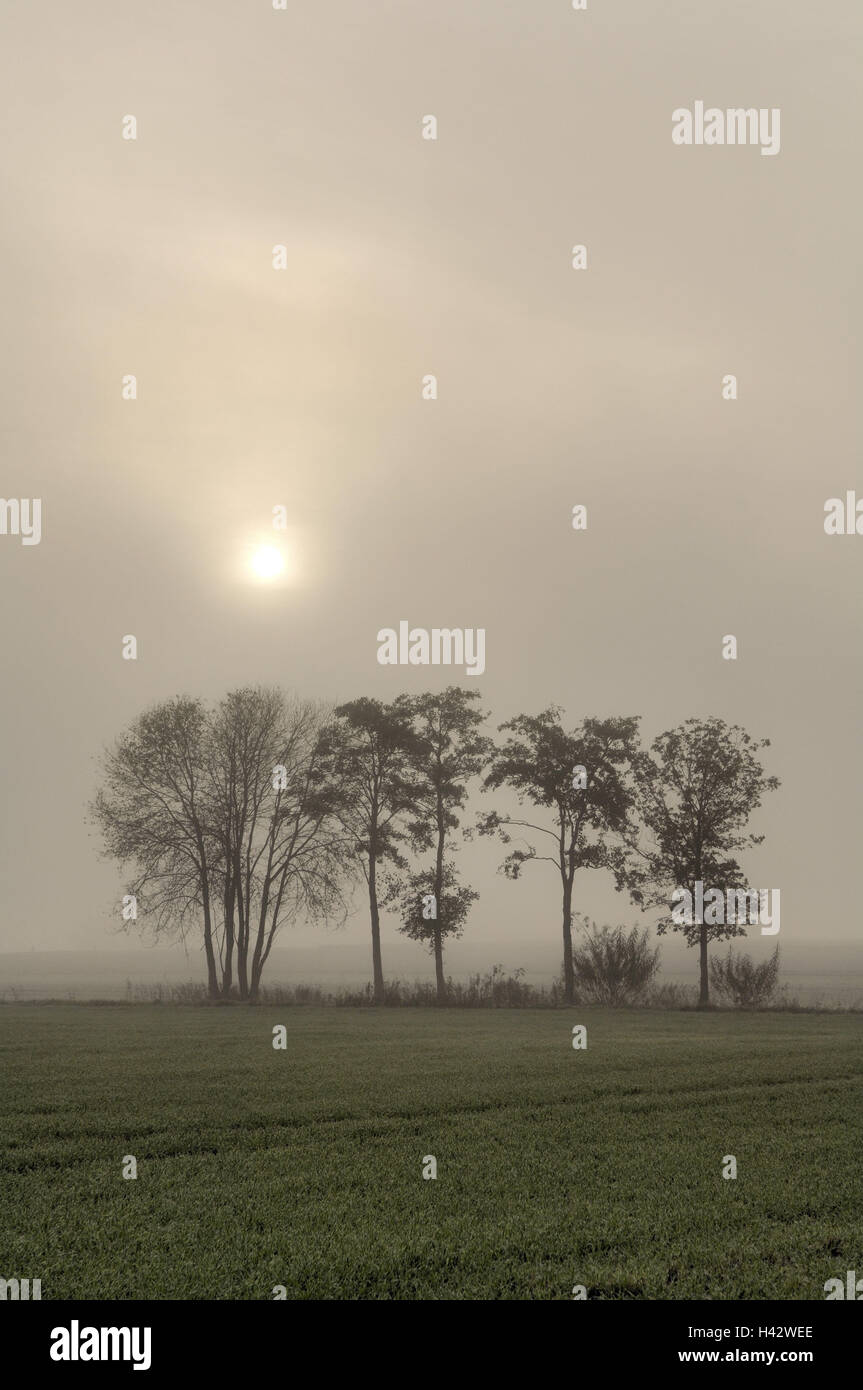 Fog field scenery hi-res stock photography and images - Alamy