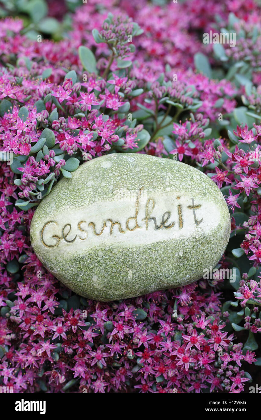 Stone, label 'Health' Stock Photo - Alamy