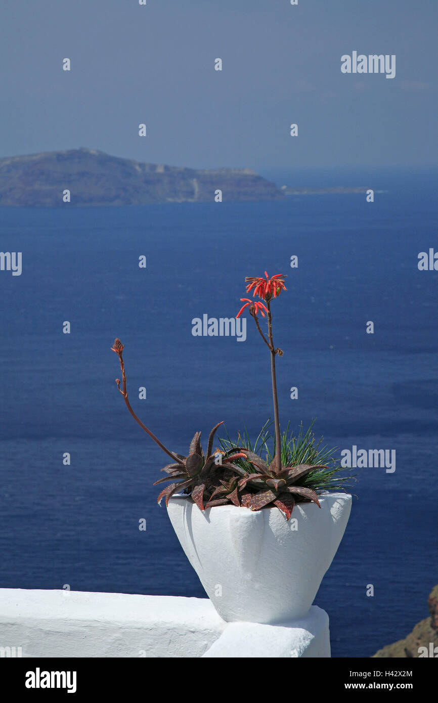 Greece, the Cyclades, island Santorin, Thira, defensive wall, planter ...